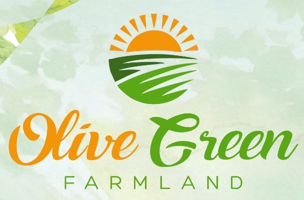 Best Open Plot Ventures in Hyderabad